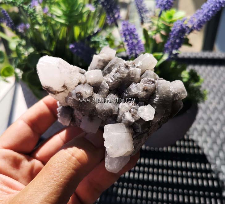 WHITE GREY CALCITE – MINERALITUM | exclusive minerals. Online mineral shop.